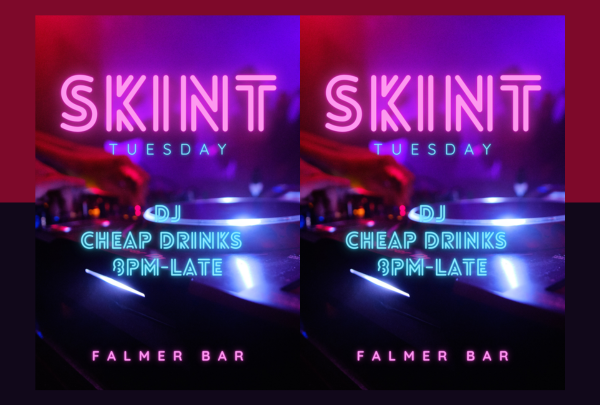 SKINT — University of Sussex Students' Union